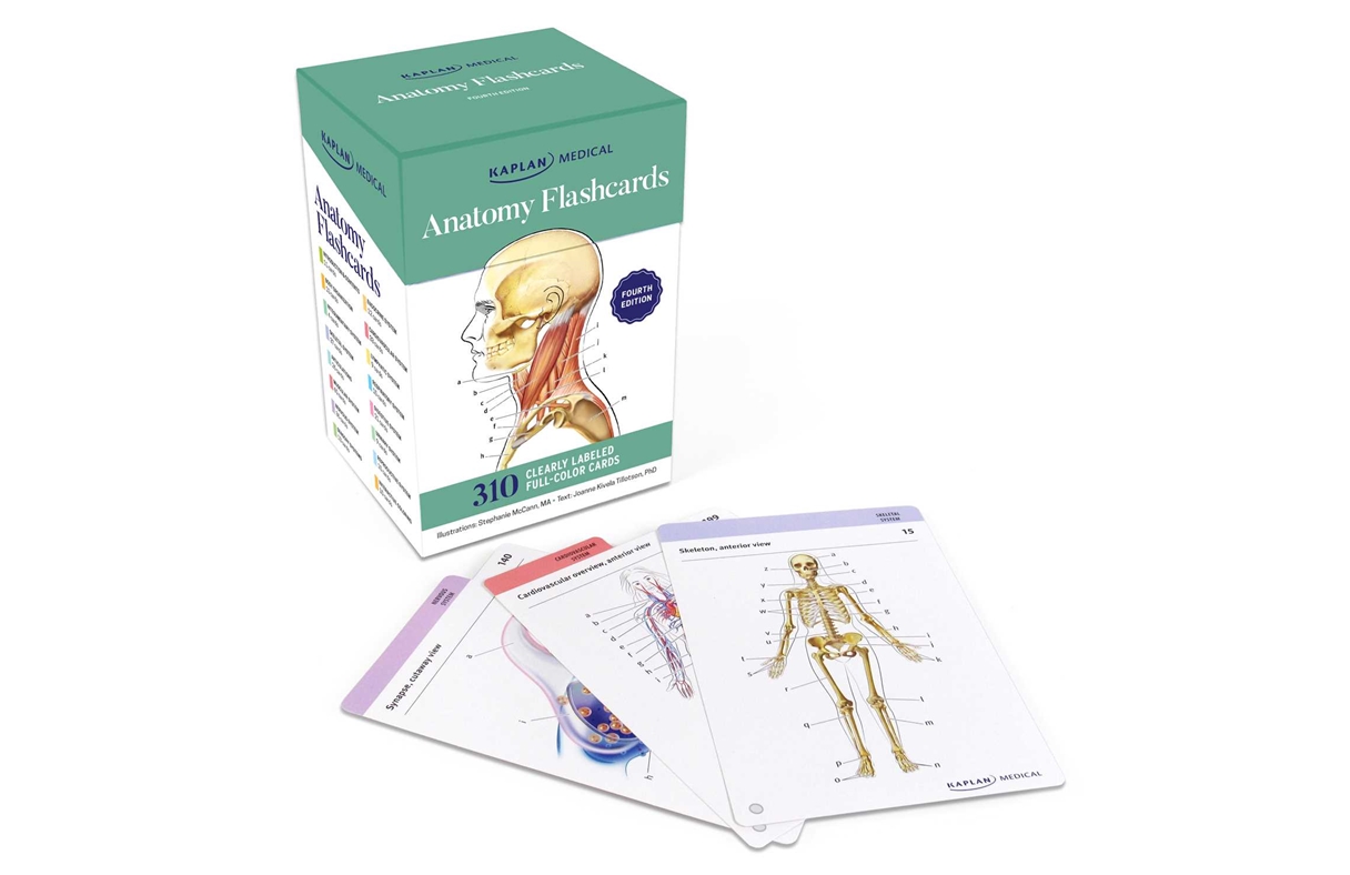 MacEwan University Bookstore - ANATOMY FLASHCARDS: 300 FLASHCARDS